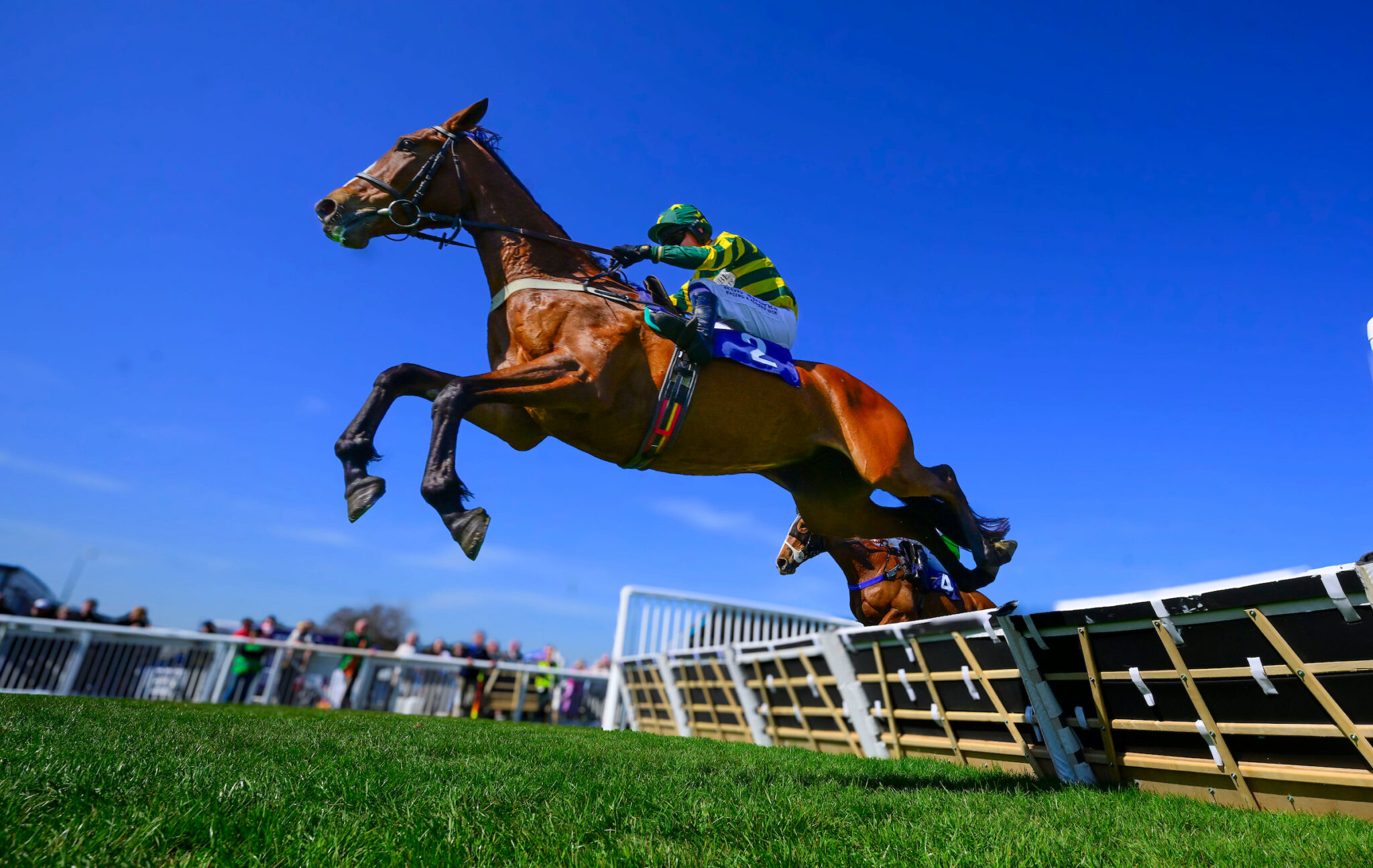 At The Races With 1899 Club | Torquay United